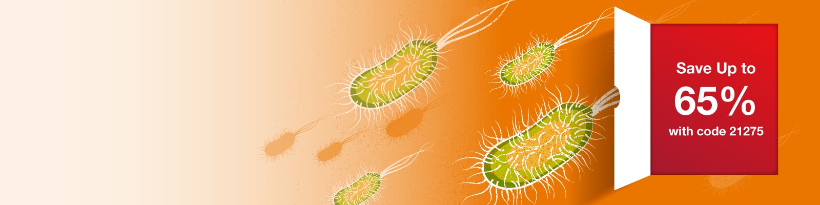E. coli Transformation | Fisher Scientific