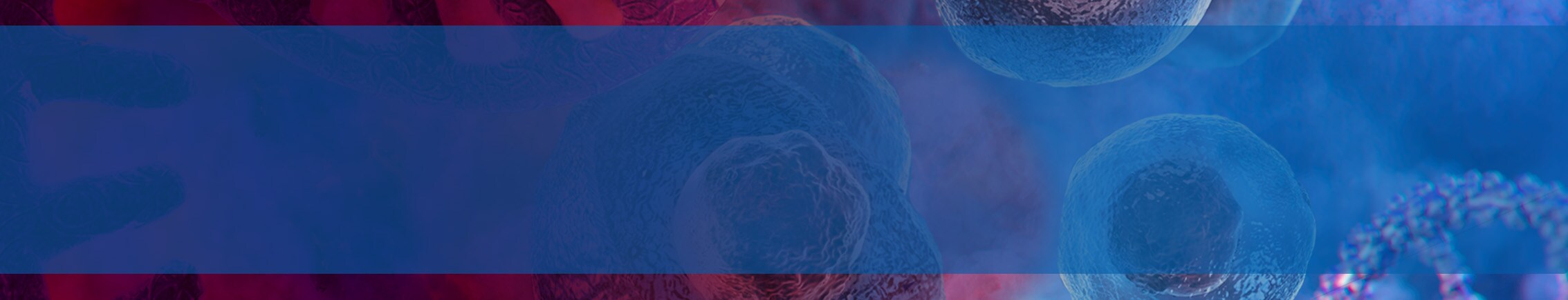 Advantages of Automated Sample Purification